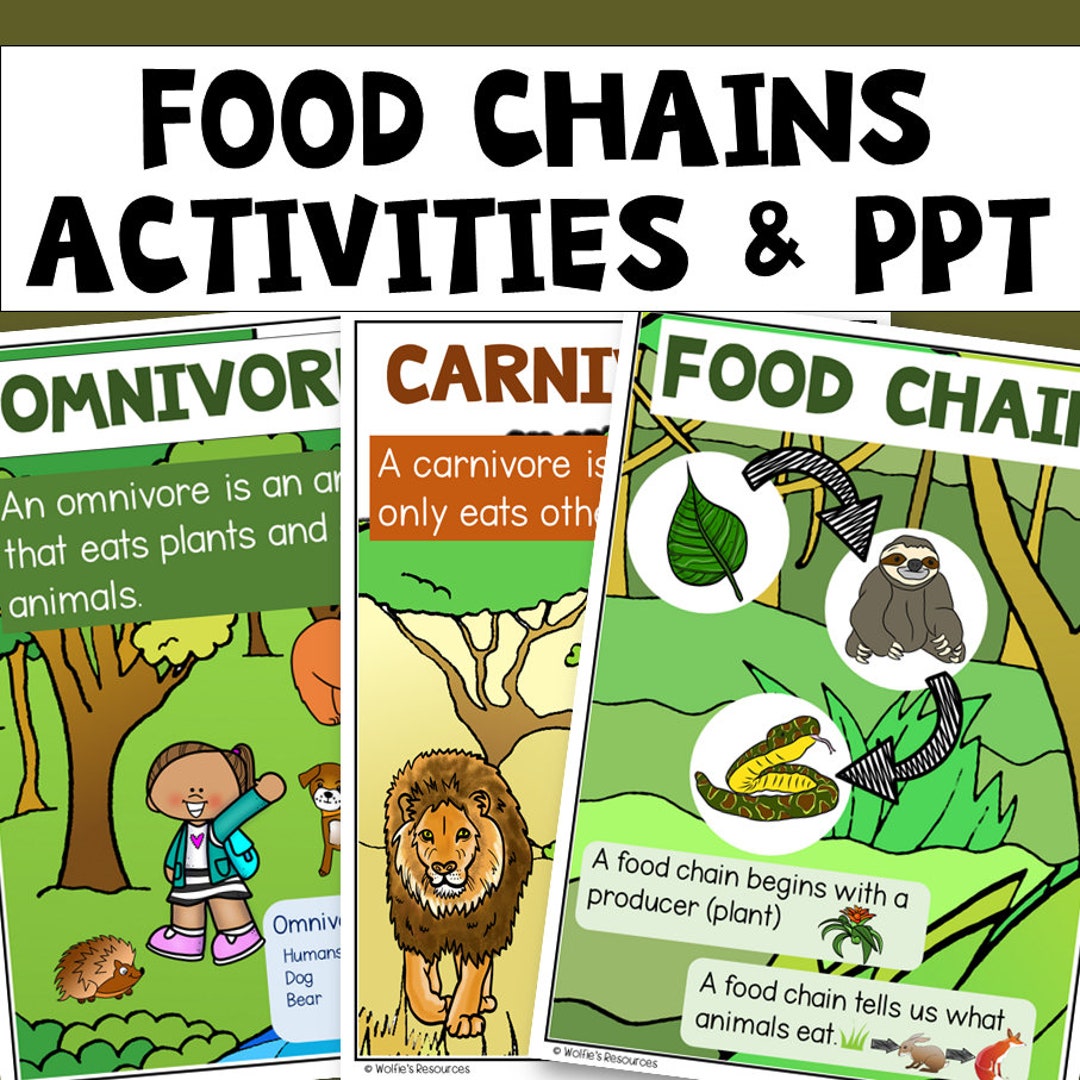 Food Chain Activities Year 2 | Home Schoolers - Etsy