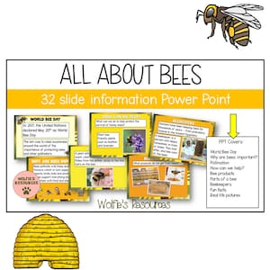 World Bee Day Lapbook & Bee Powerpoint Activity - Etsy