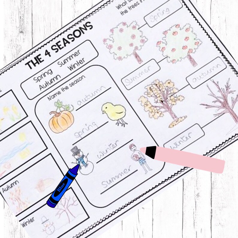 Kindergarten Weather and Climate | Etsy