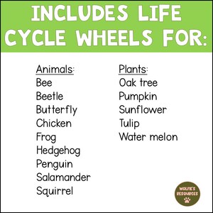 Life Cycle Wheels: Animal & Plant Learning Activity - Etsy