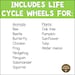 Life Cycle Wheels: Animal & Plant Learning Activity - Etsy