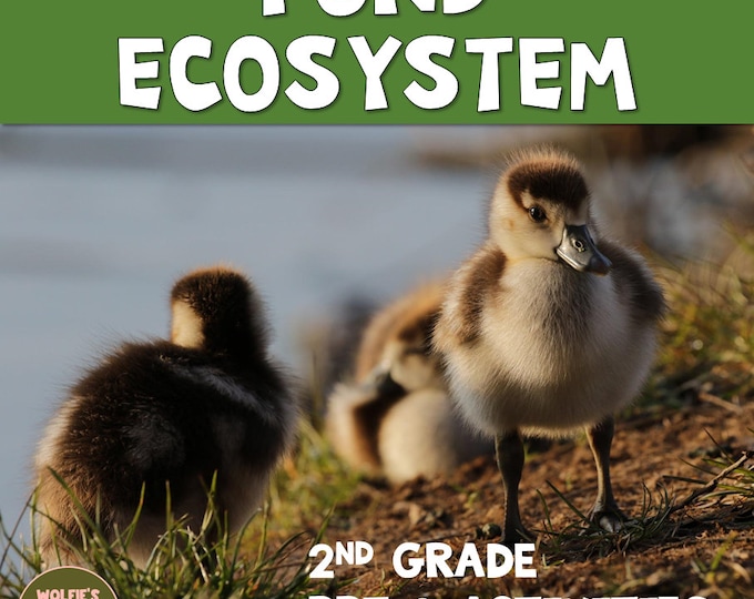 Manualidad de hábitats animales / Diorama de ciencias del hábitat y ...