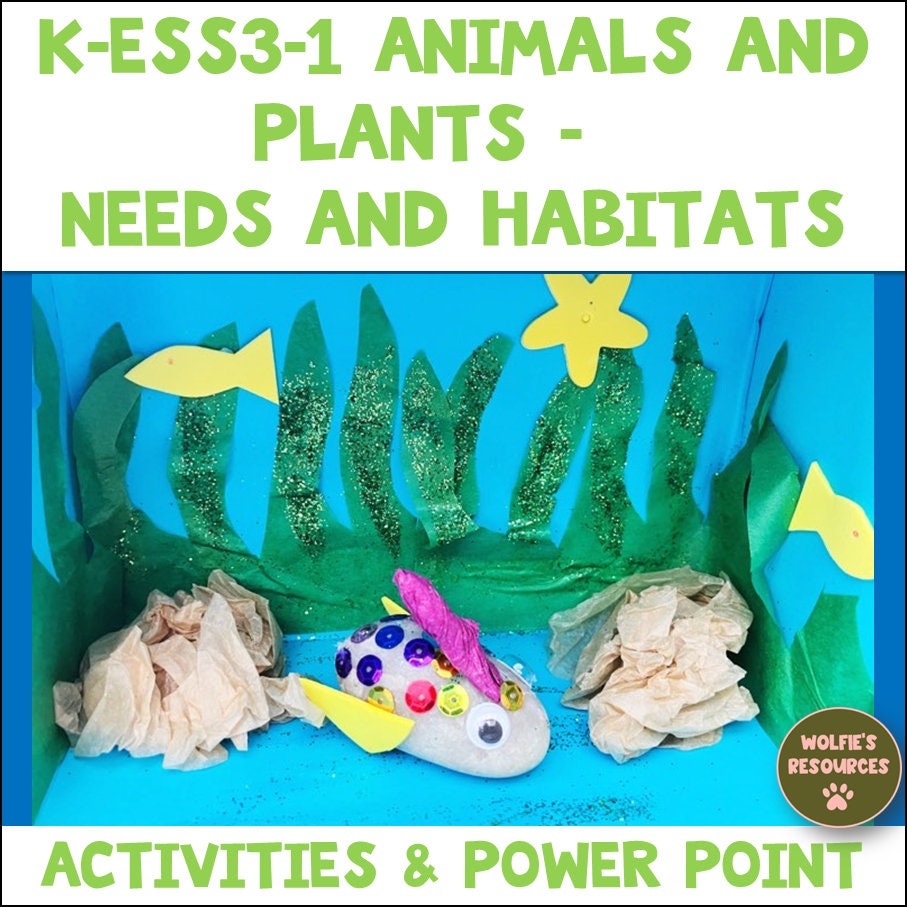 Animal Needs and Habitats - Etsy