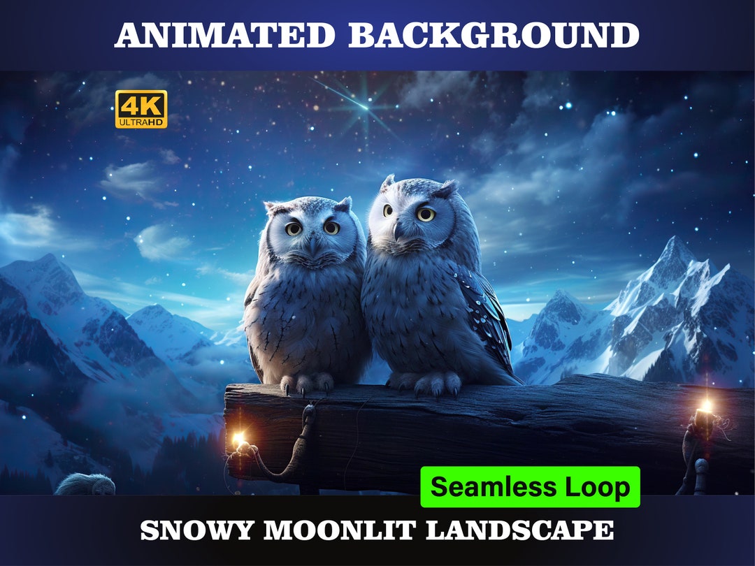 Snowy Owls Animated Background: 4K Looping Video (MP4) - Etsy