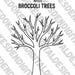 Broccoli Stamp Fall Tree Craft: Kids' Autumn Art Activity (PDF Template ...