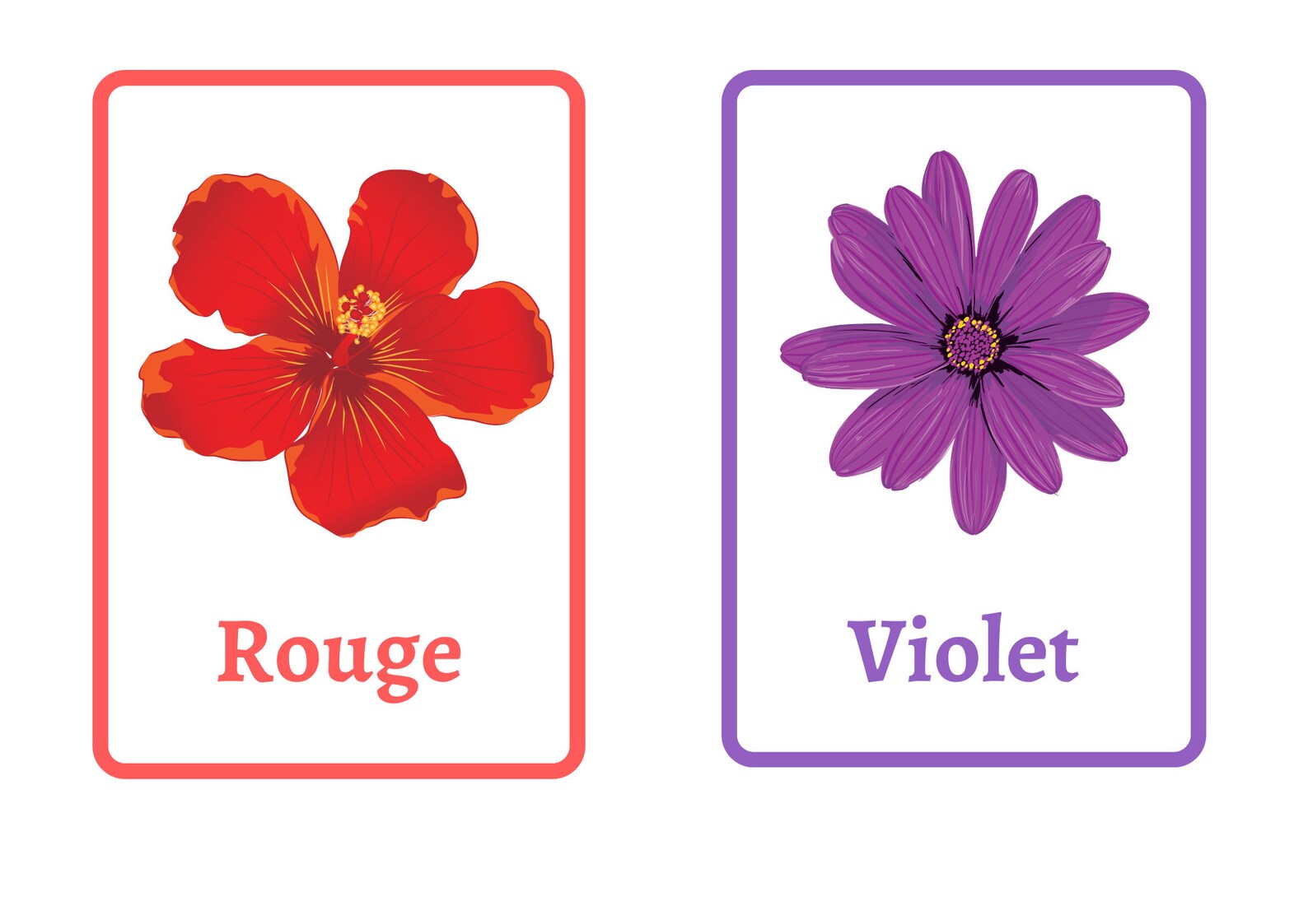 French Colors Flashcards Printable Bilingual Flash Cards for | Etsy