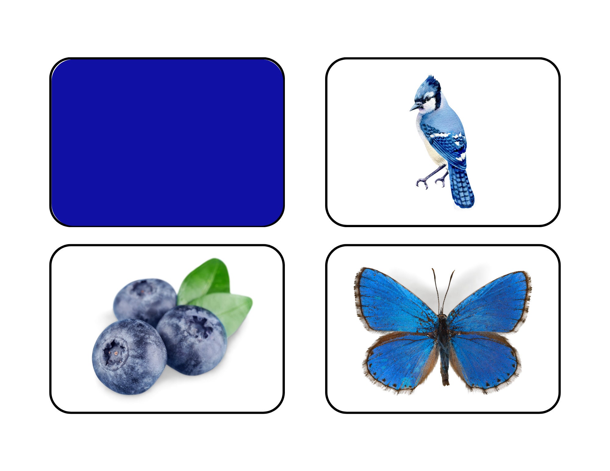 Color Matching Flashcards: Toddler Preschool Learning (digital Download ...
