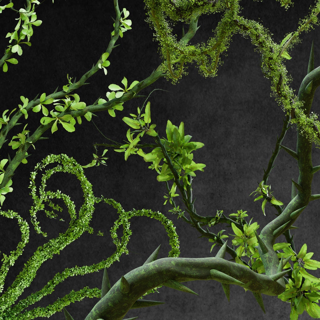 Green Branches/vines/leaves/nature/fantasy Plants/romantic/decoration ...