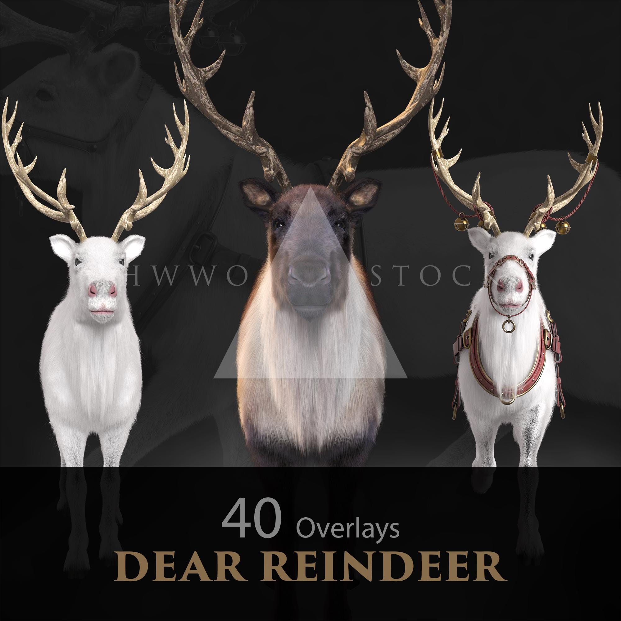 Dear Reindeer/winter/animals/cozy/magical/composite/png/overlay/fantasy ...
