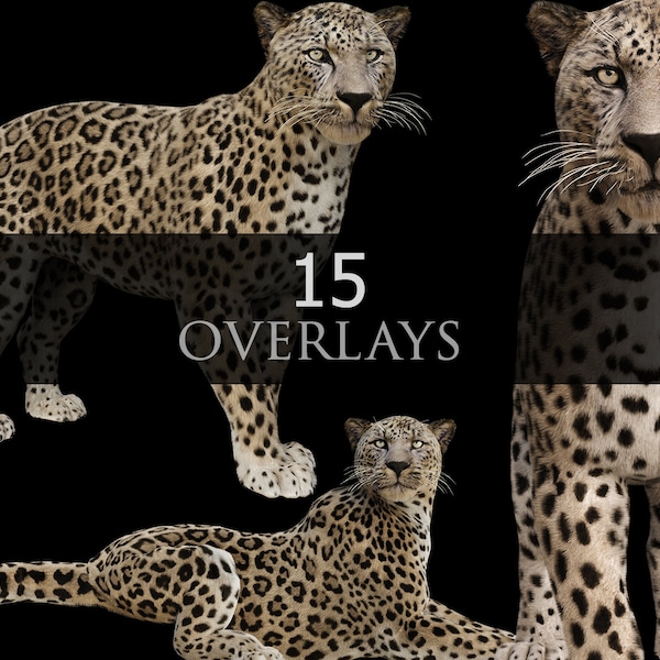 Leopard Overlays - Etsy