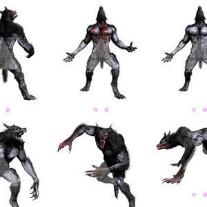 Werewolf/monster/creature/wolf/halloween/fantasy Characters/full Moon ...