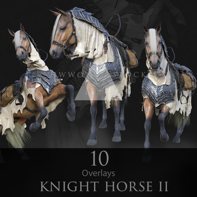 Medieval Horse Costumes for Horses - Etsy