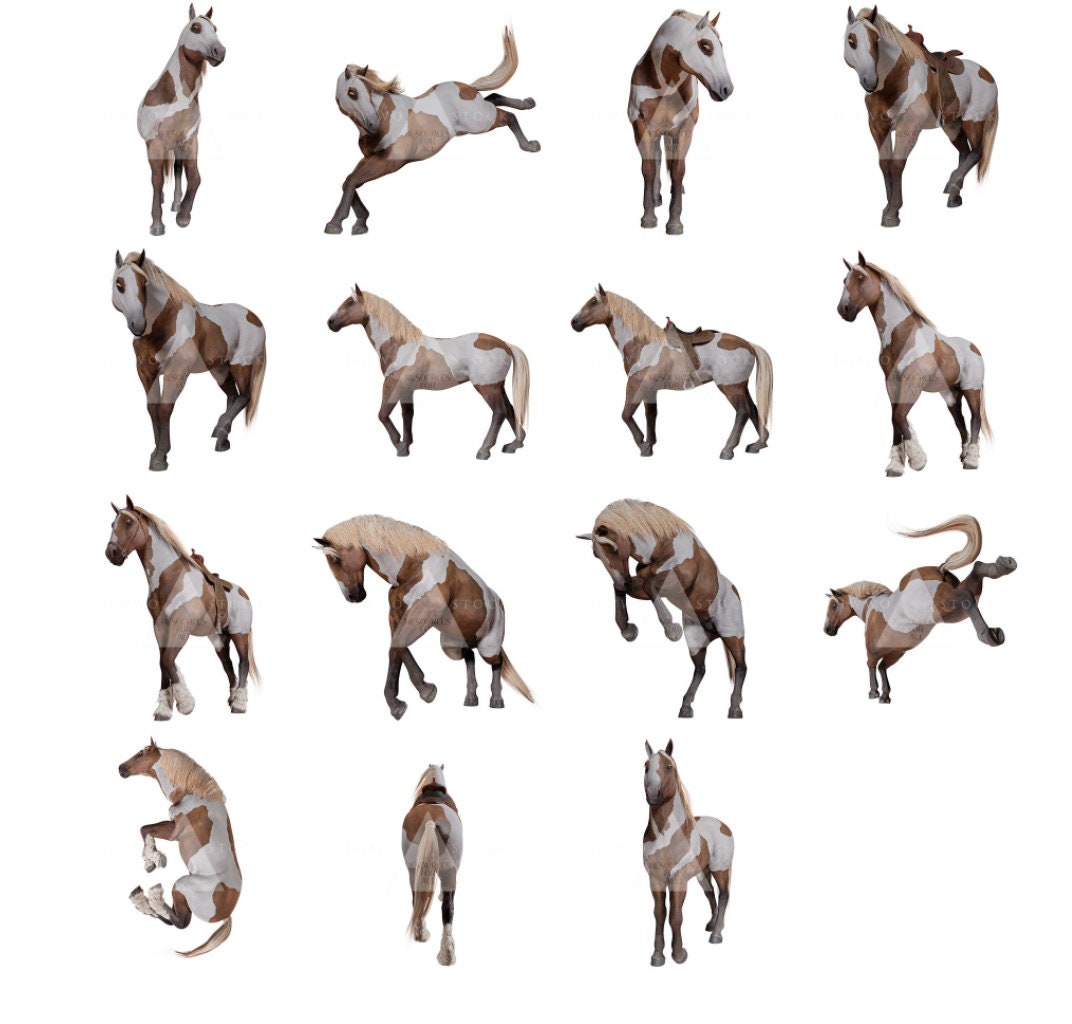 Horses/animals/appaloosas/composite/pngs/png/overlay/overlays/ - Etsy