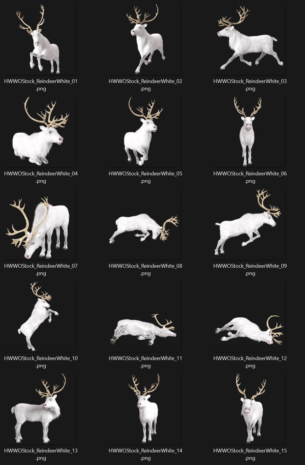 Dear Reindeer/winter/animals/cozy/magical/composite/png/overlay/fantasy ...