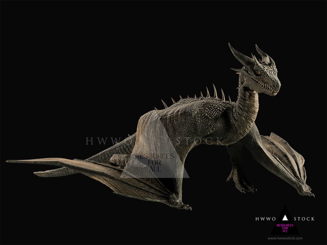 Dragon Wyvern/dragons/composite/pngs/png/overlay/overlays/creature ...