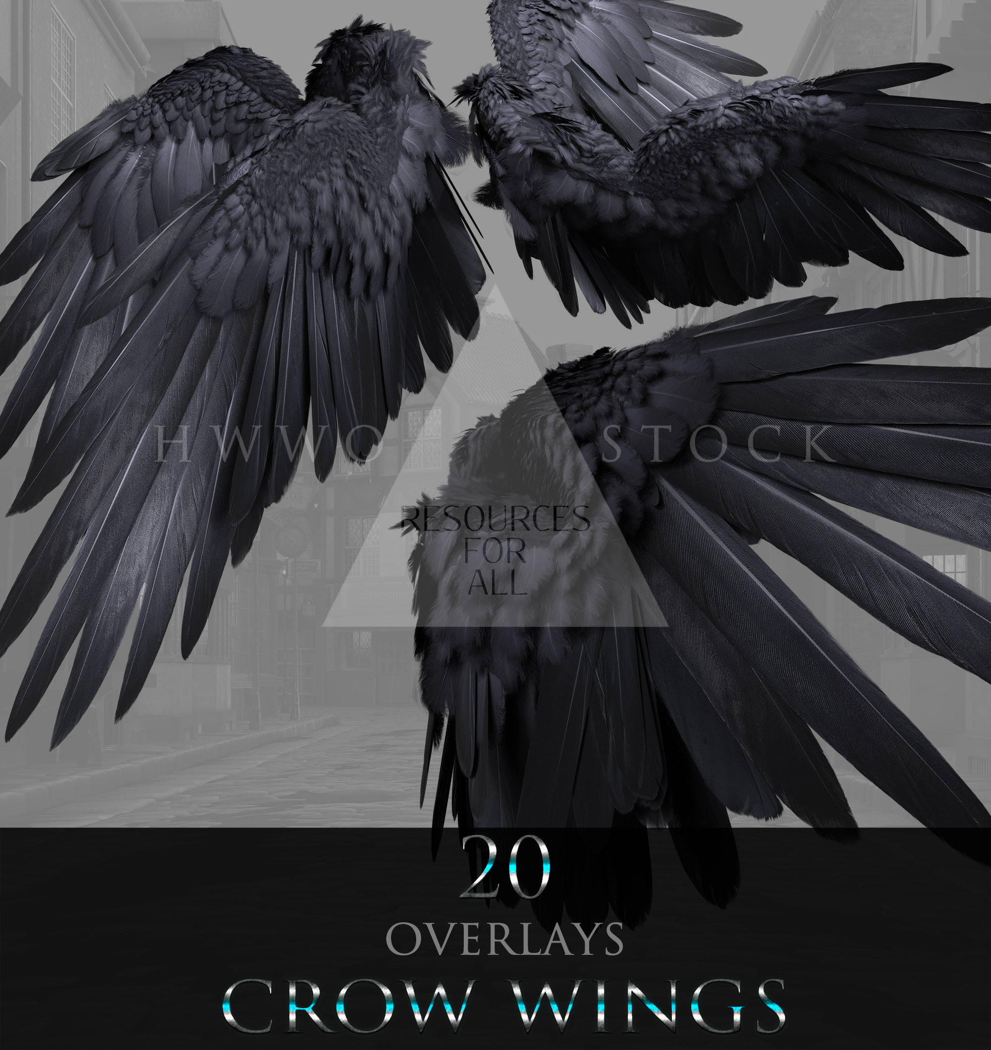 Crow Wings