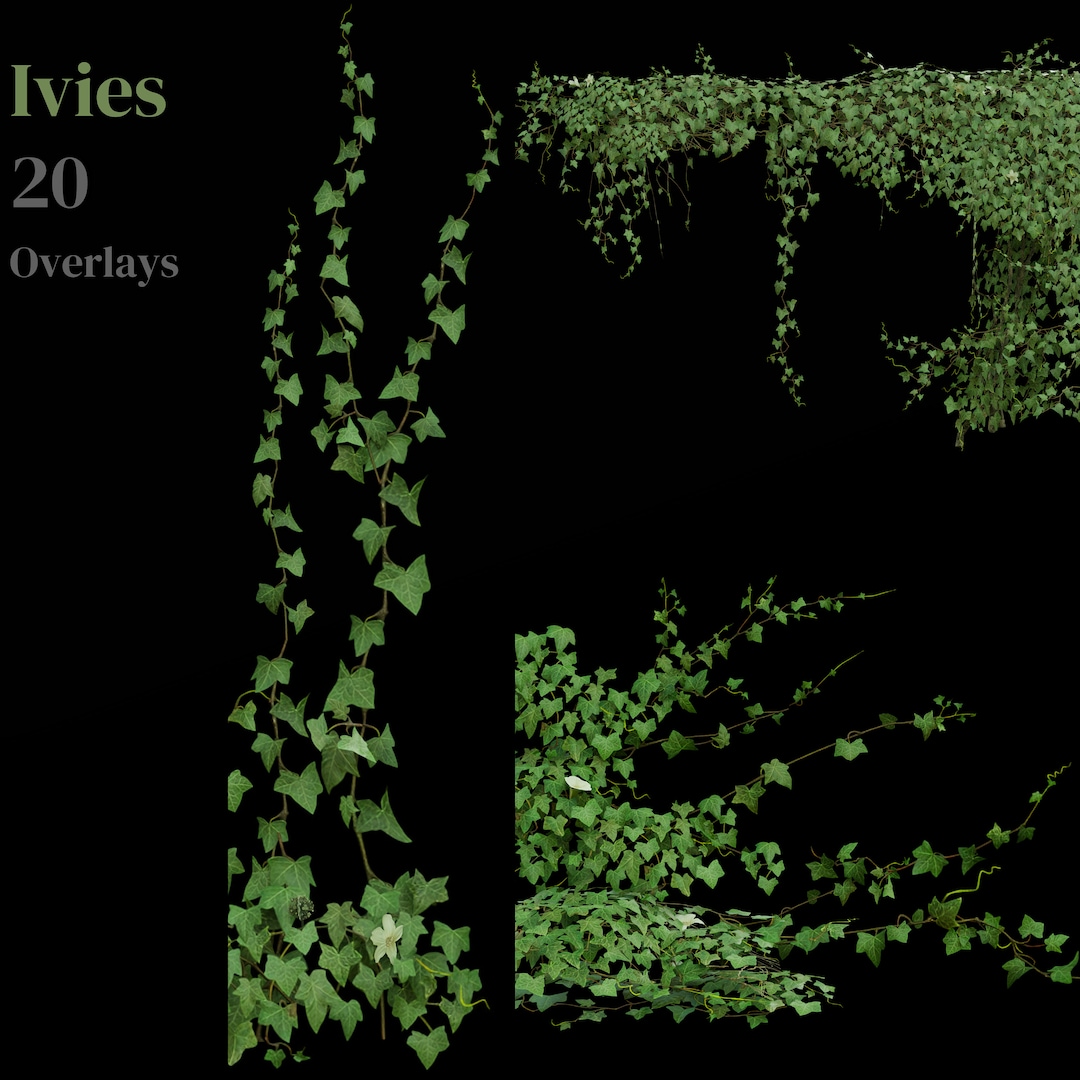 Green Ivy/plants/nature/vines/fantasy Plants/romantic/decoration ...