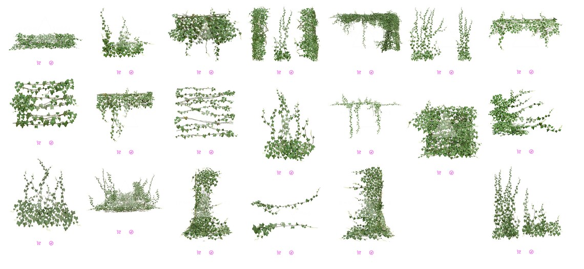 Green Ivy/plants/nature/vines/fantasy Plants/romantic/decoration ...