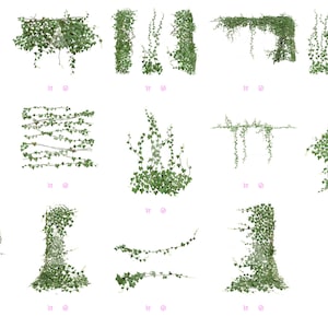 Green Ivy/plants/nature/vines/fantasy Plants/romantic/decoration ...