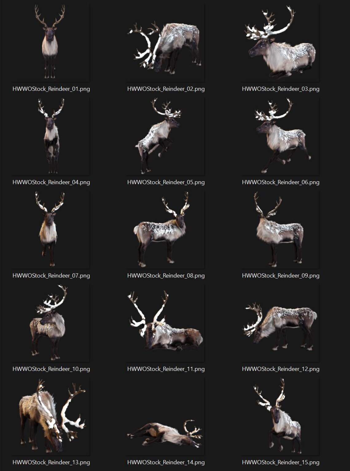 Dear Reindeer/winter/animals/cozy/magical/composite/png/overlay/fantasy ...
