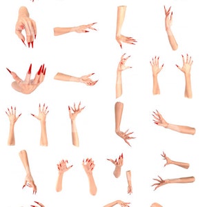 Claws/fantasy Hands/anatomy/hands/body/composite/pngs/png/overlay ...