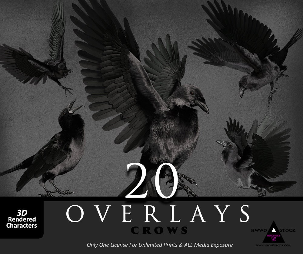 Crow/raven/birds/halloween/goth/composite/pngs/png/overlay/ove - Etsy