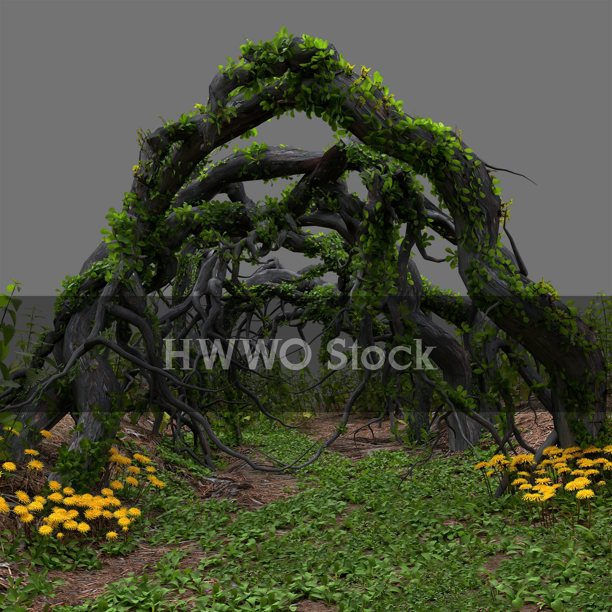 Cave/entangled/ivy/branches/clipart/witchy/overlay/architecture/plants ...