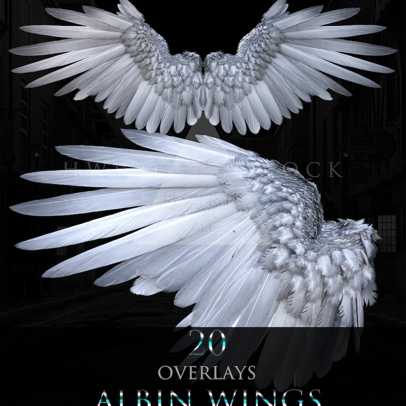 White Wings - Etsy