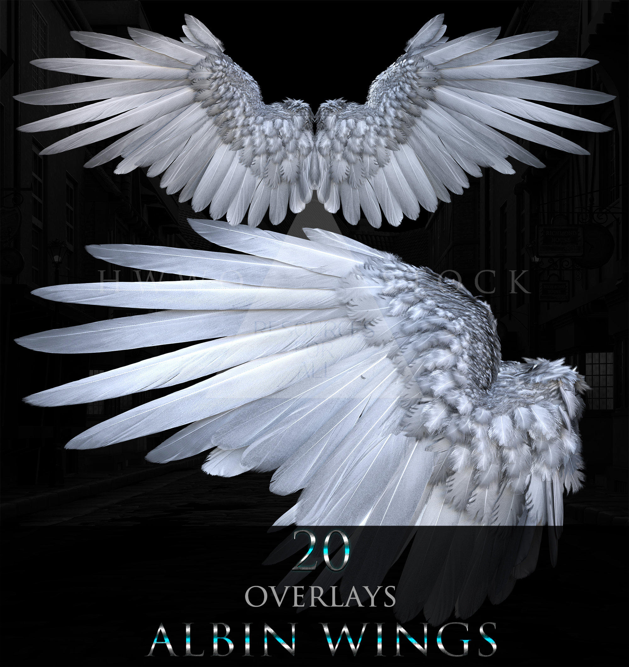White Wings/angel/feathers/fantasy Wings/composite/pngs/png/overlay/overlays/bird/2d Renders ...