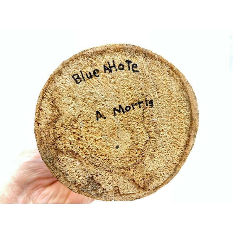 Native American Kachina Doll blue Ahote Handmade Indian | Etsy