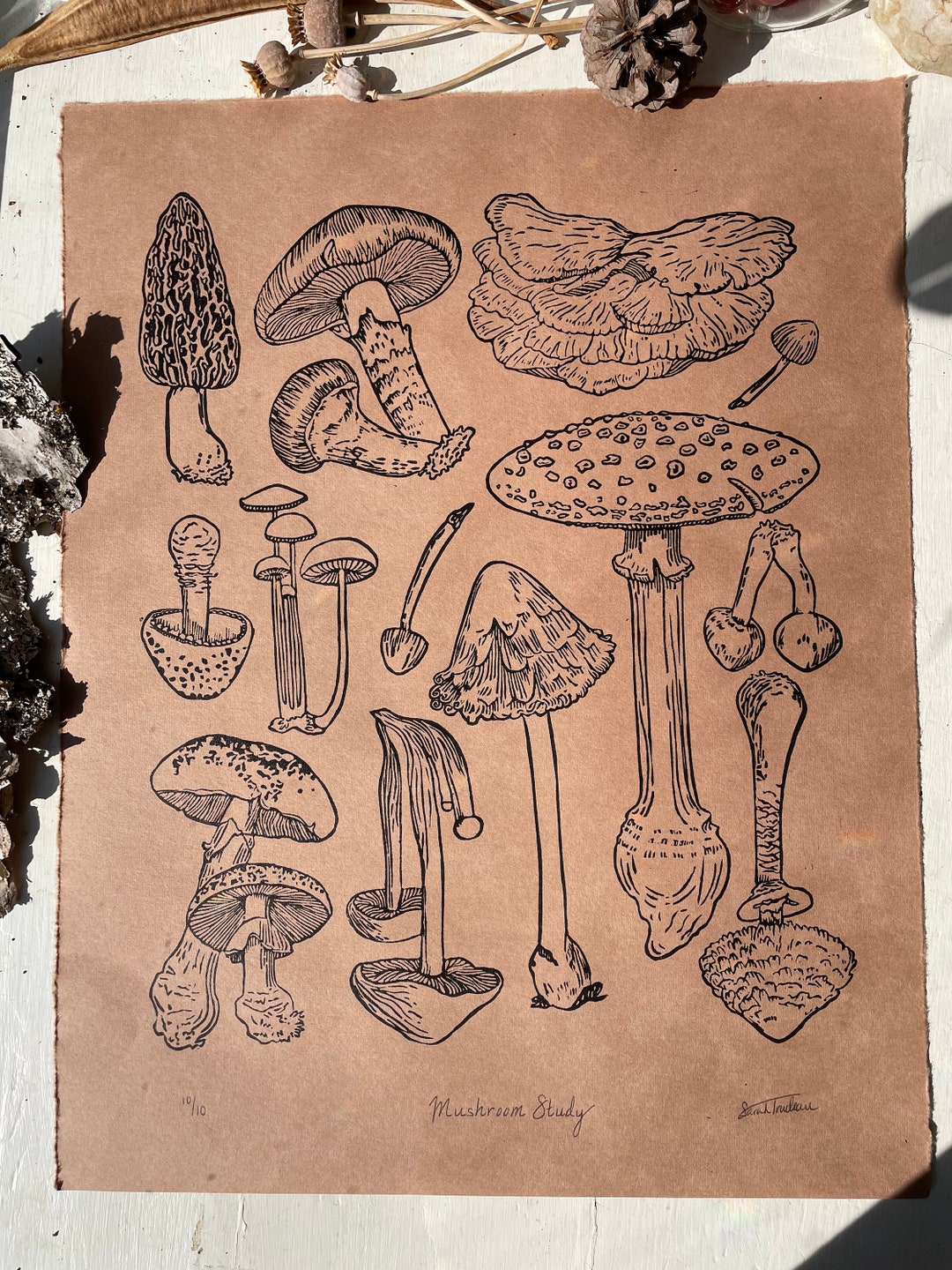 Mushroom Study | Original Linocut Print | Block Printed Wall Art ...