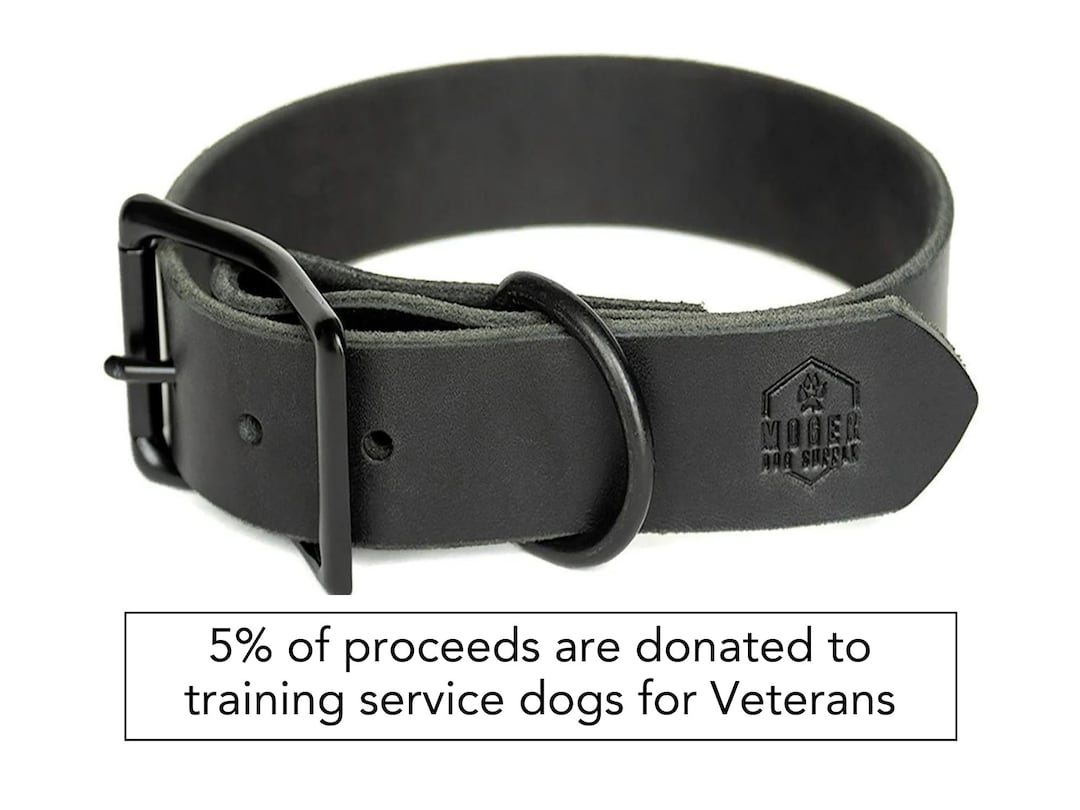 Classic 1.25" Thick Leather Dog Collar - Large Adjustable Dog Collar ...
