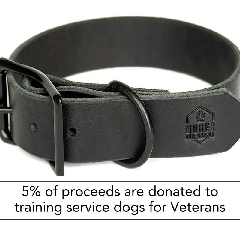 Male Dog Collar - Etsy