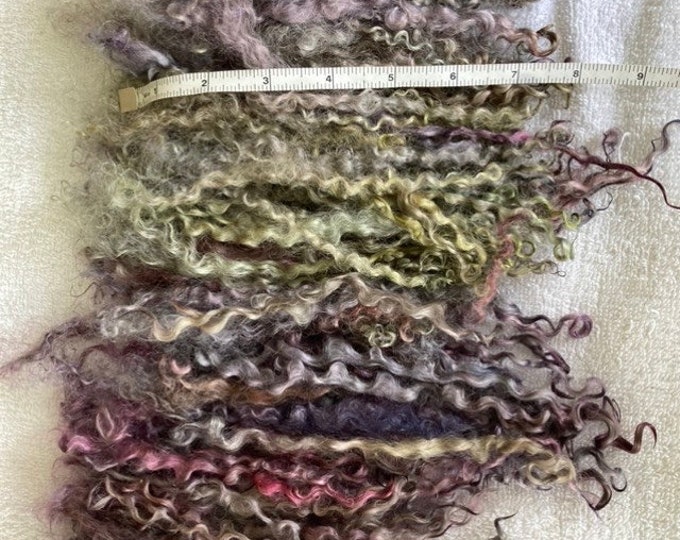 Pure Teeswater Curly Locks - Etsy
