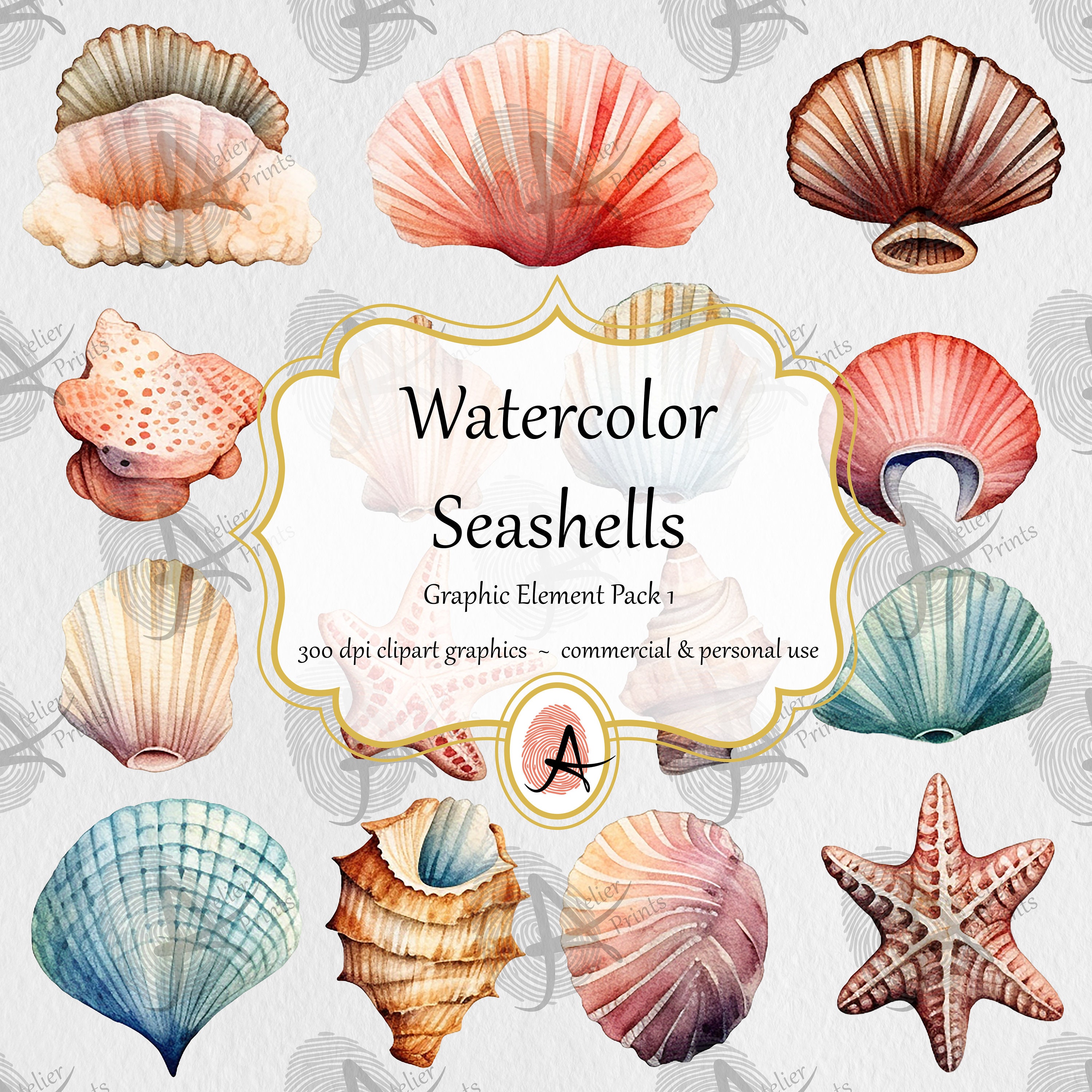 Watercolor Seashell Clipart, Summer Beach Graphics - Instant Digital ...