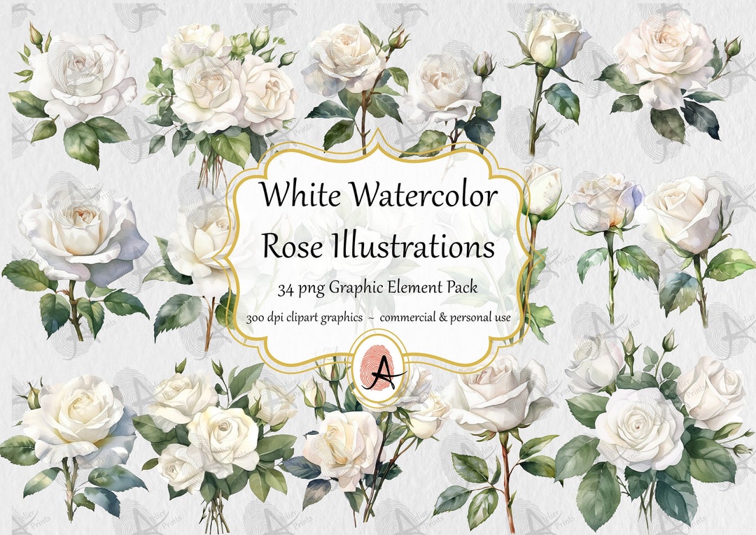 White Watercolor Roses Clipart - Romantic White Roses With Leaves in ...