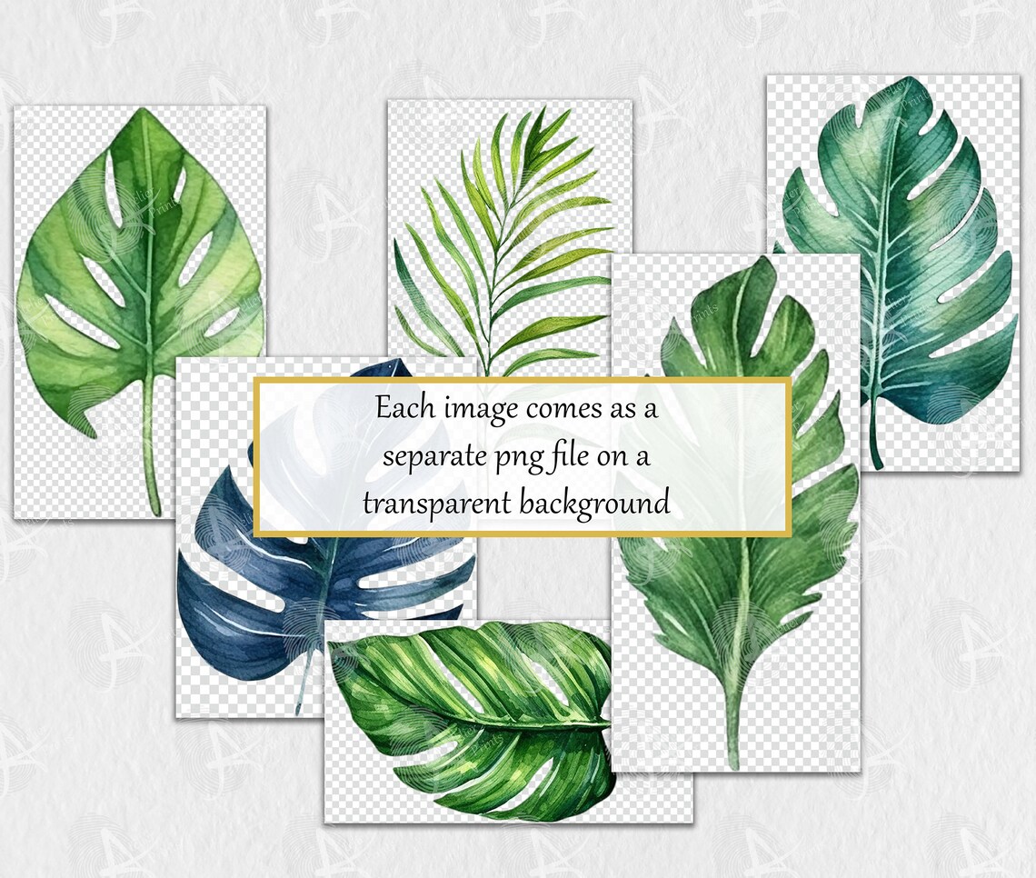 Watercolor Tropical Leaves Clipart, Decorative Monstera Leaf ...