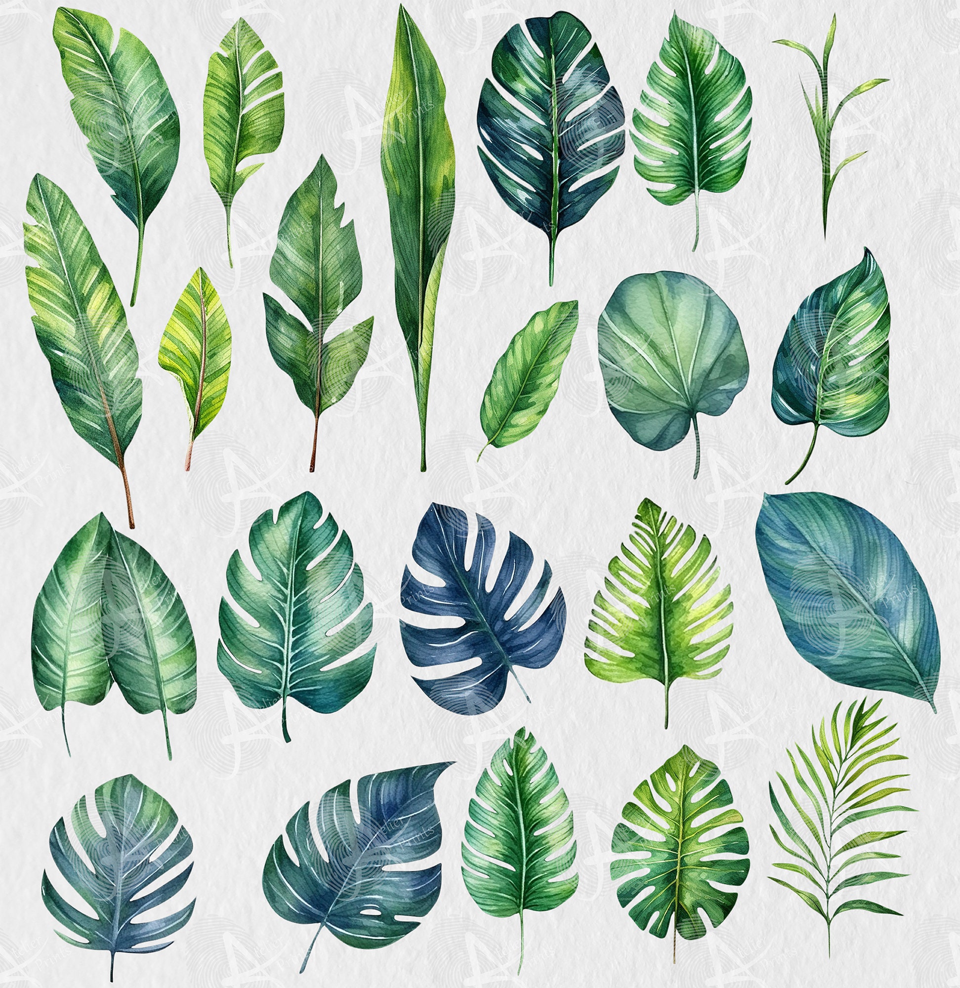 Watercolor Tropical Leaves Clipart, Decorative Monstera Leaf ...