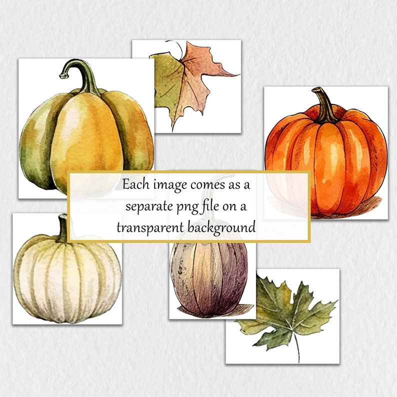 Watercolor Pumpkin Clipart, Autumn Leaves and Gourds Illustration ...
