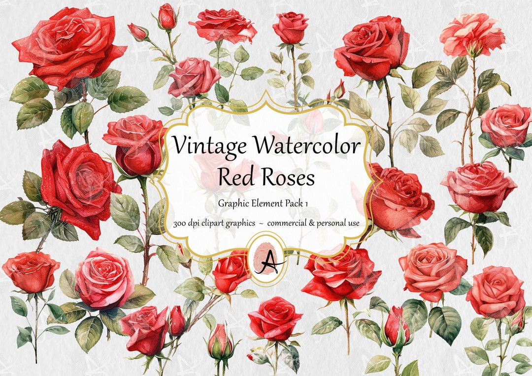 Watercolor Vintage Red Rose Clipart, Red Roses and Rose Buds, Floral ...
