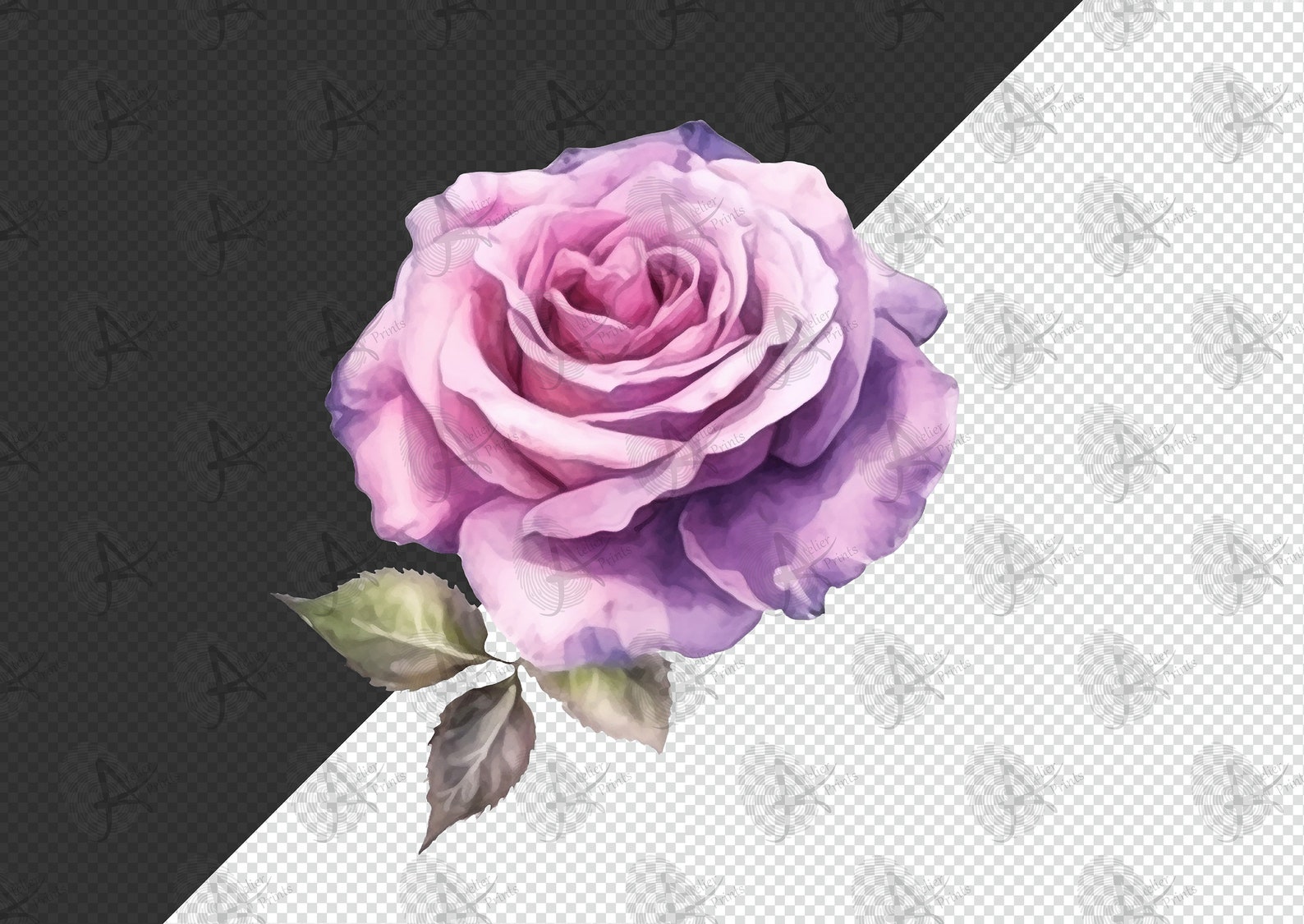 Purple Watercolor Roses Clipart Rose Blooms With Leaves in Shades of ...