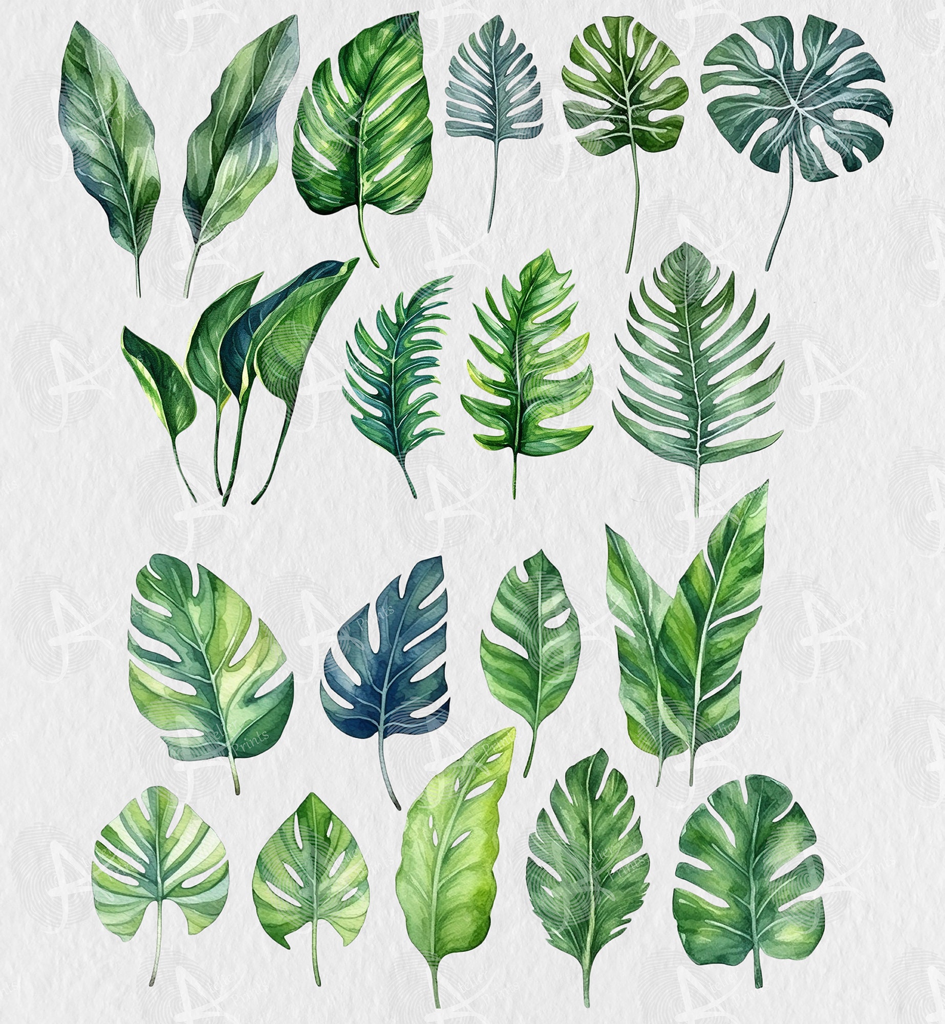 Watercolor Tropical Leaves Clipart, Decorative Monstera Leaf ...