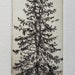 Print Etching Autumn Tree - Etsy