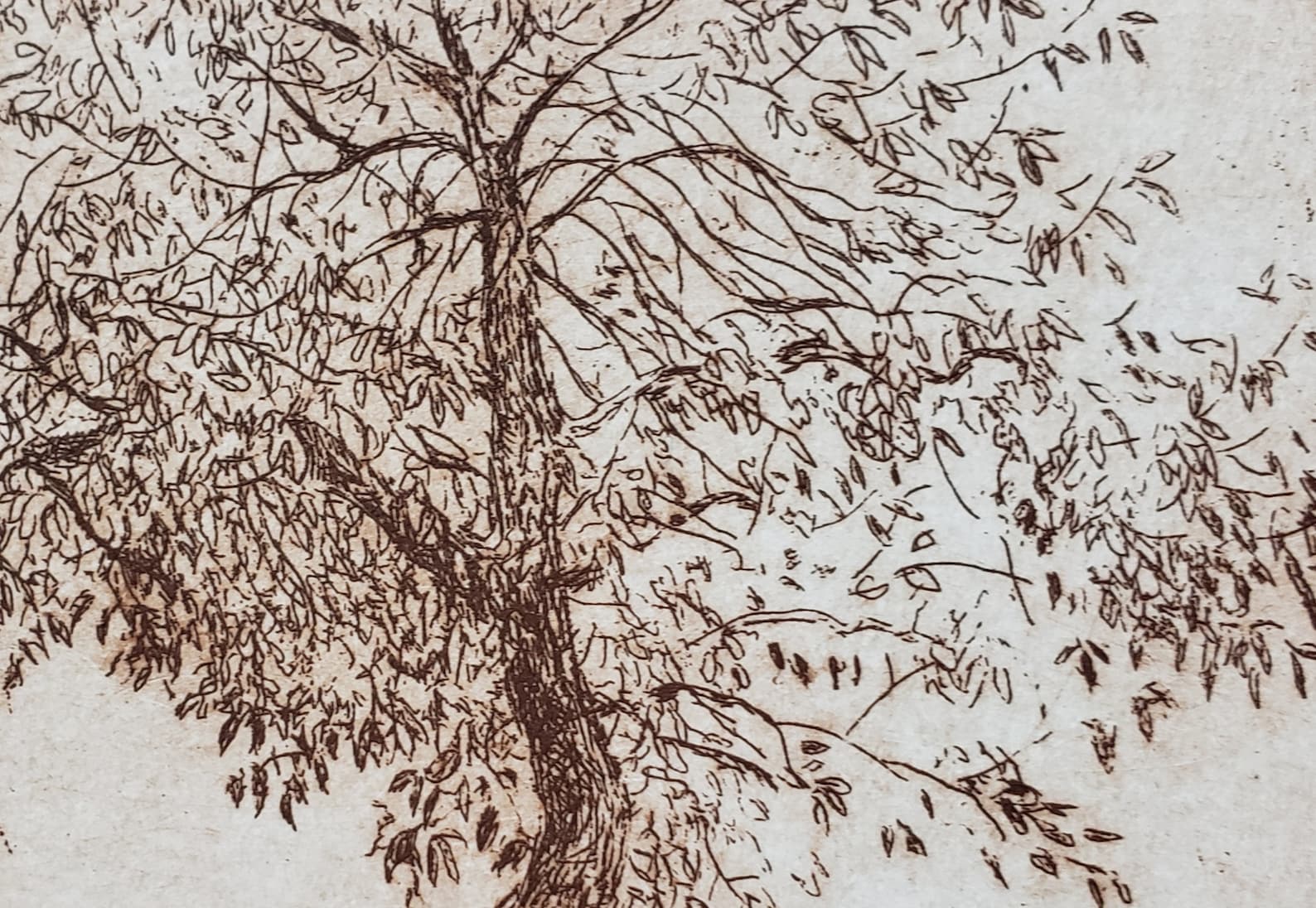 Print Etching Autumn Tree - Etsy
