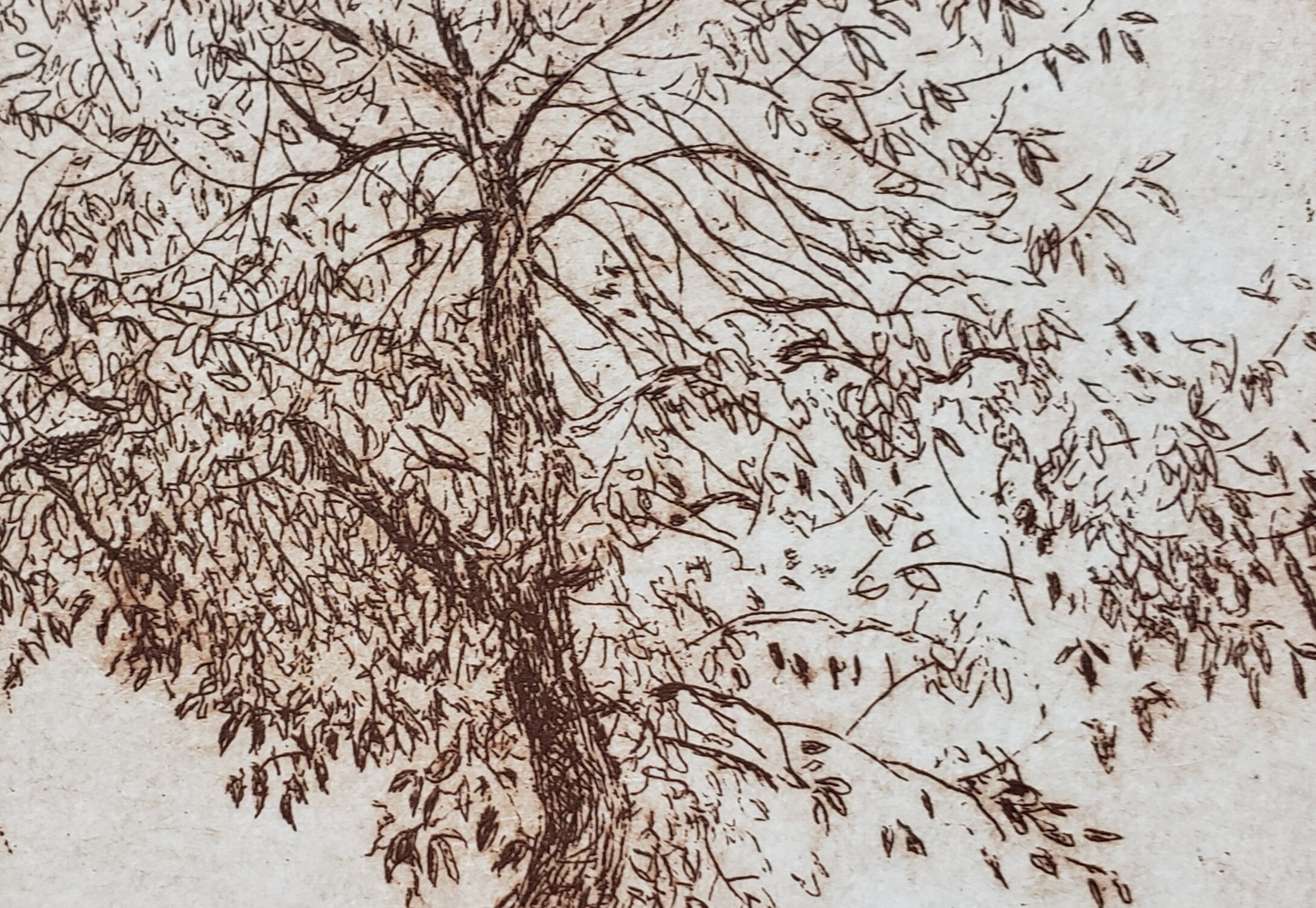 Print Etching Autumn Tree - Etsy