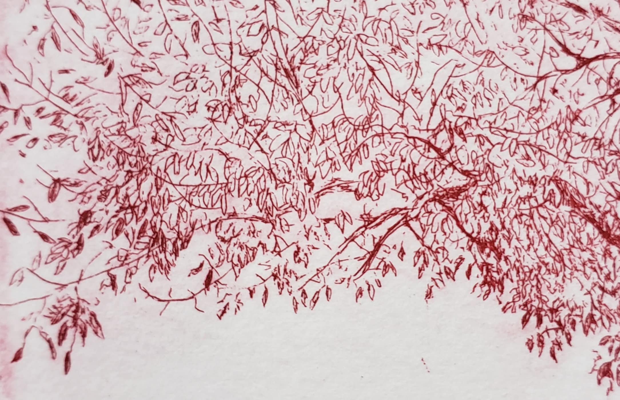 Print - Etching - Autumn Tree - Etsy