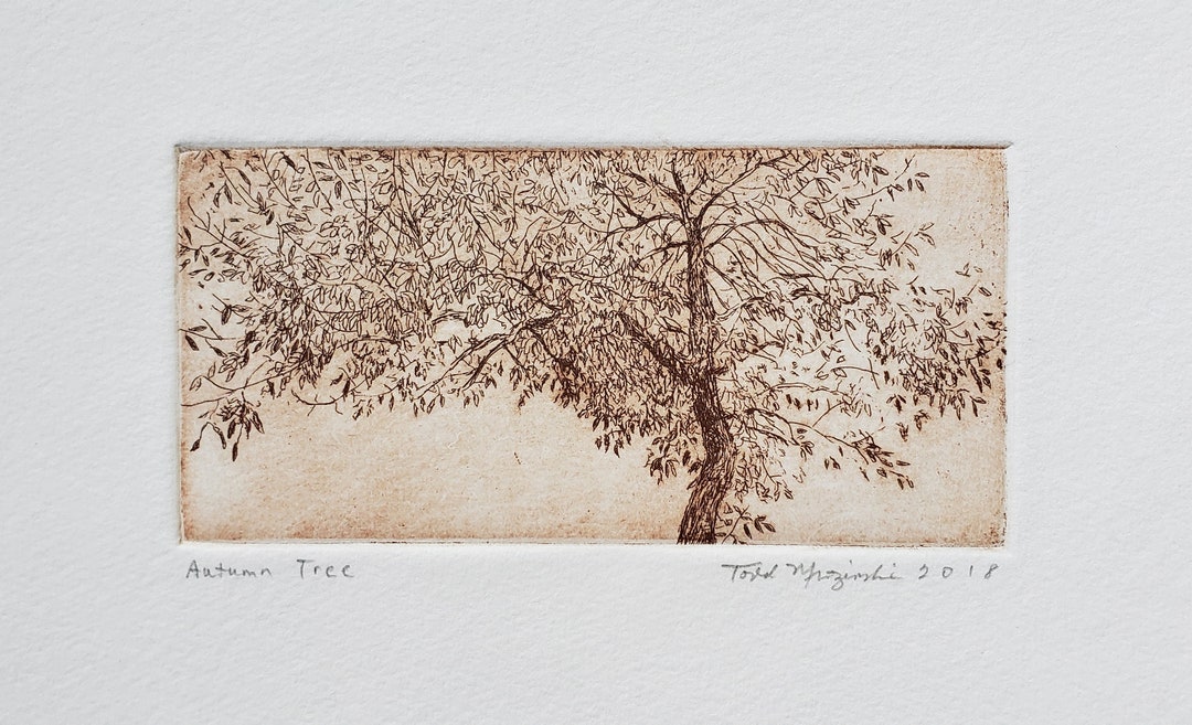 Print - Etching - Autumn Tree - Etsy