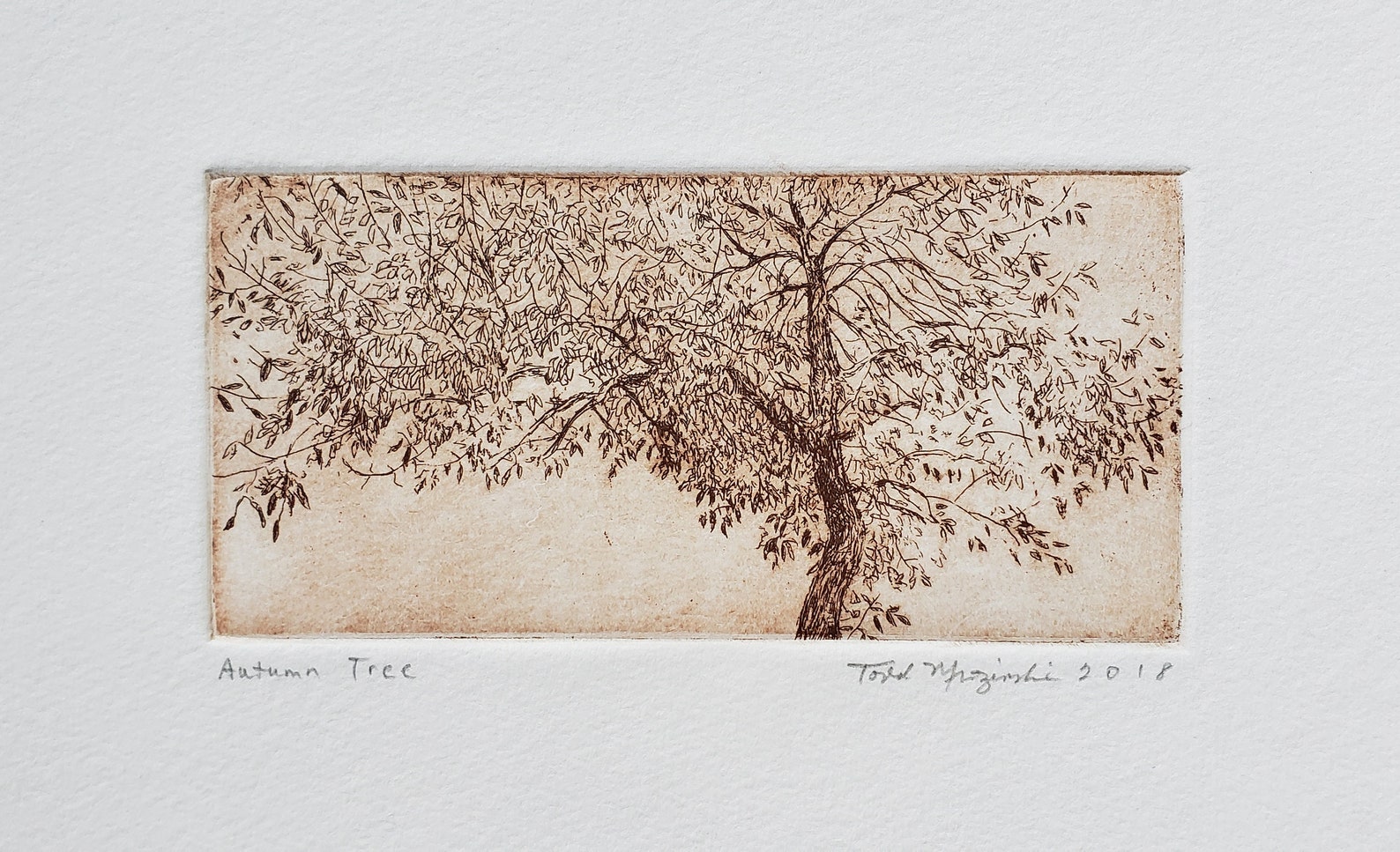 Print Etching Autumn Tree - Etsy