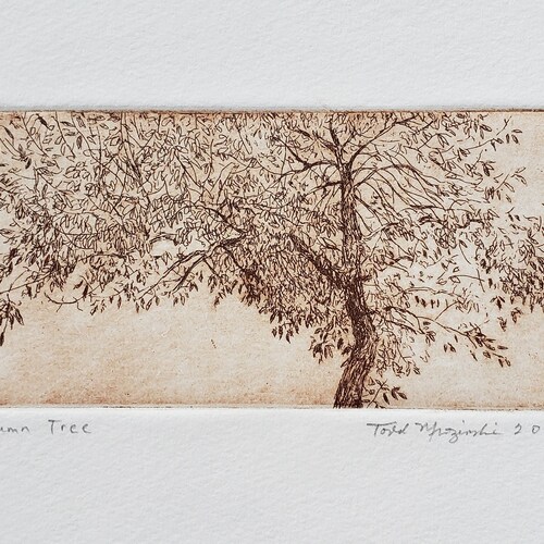 Print Etching Autumn Tree - Etsy