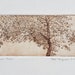 Print - Etching - Autumn Tree - Etsy